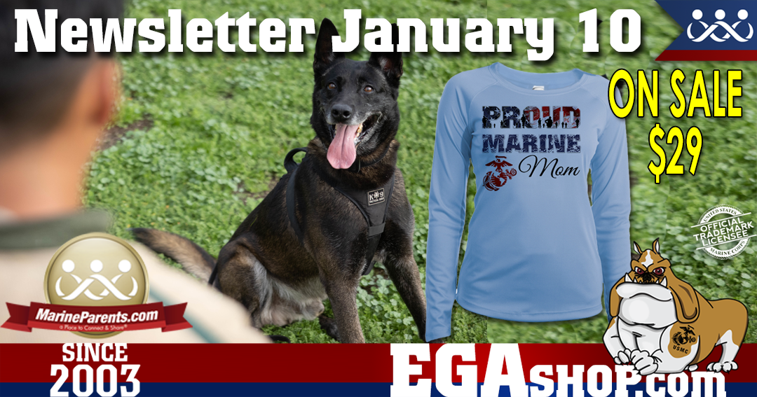 3rd Air Naval Gunfire Liason Company (3rd ANGLICO) on MarineParents.com